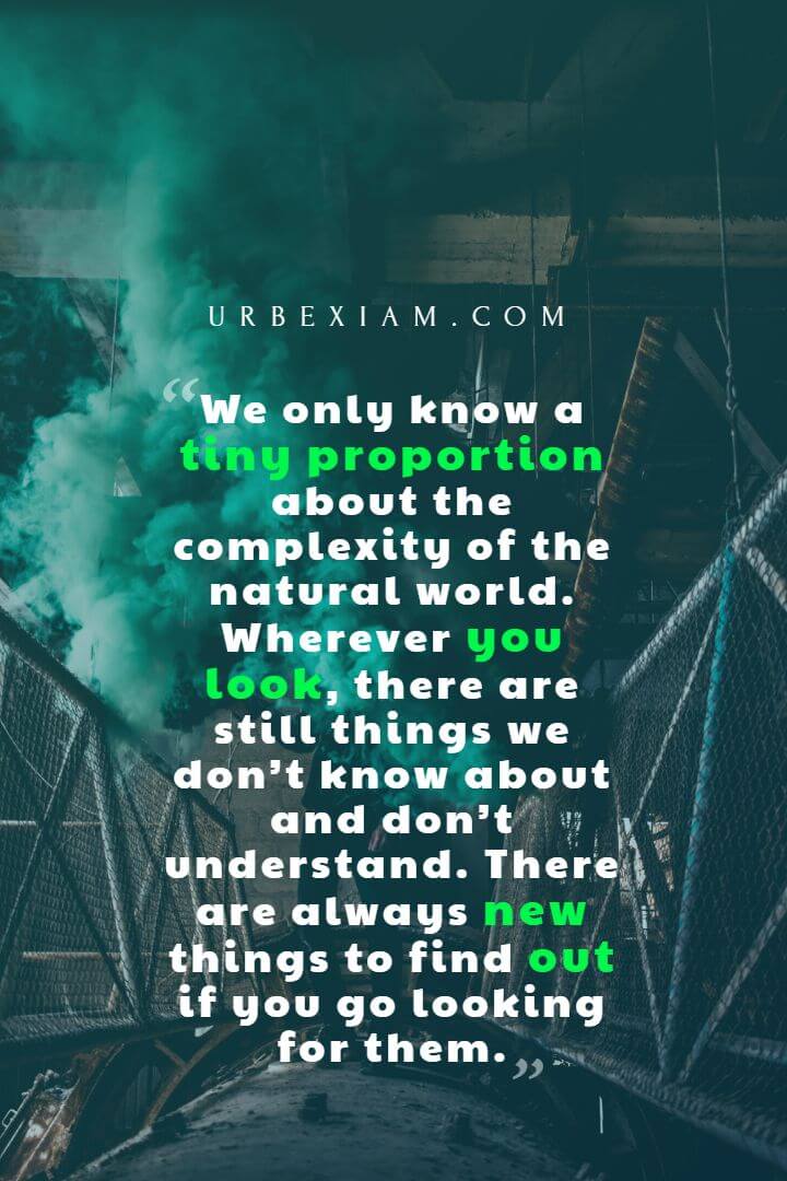 22 Urbex Quotes That Will Motivate You To Explore - Urbexiam